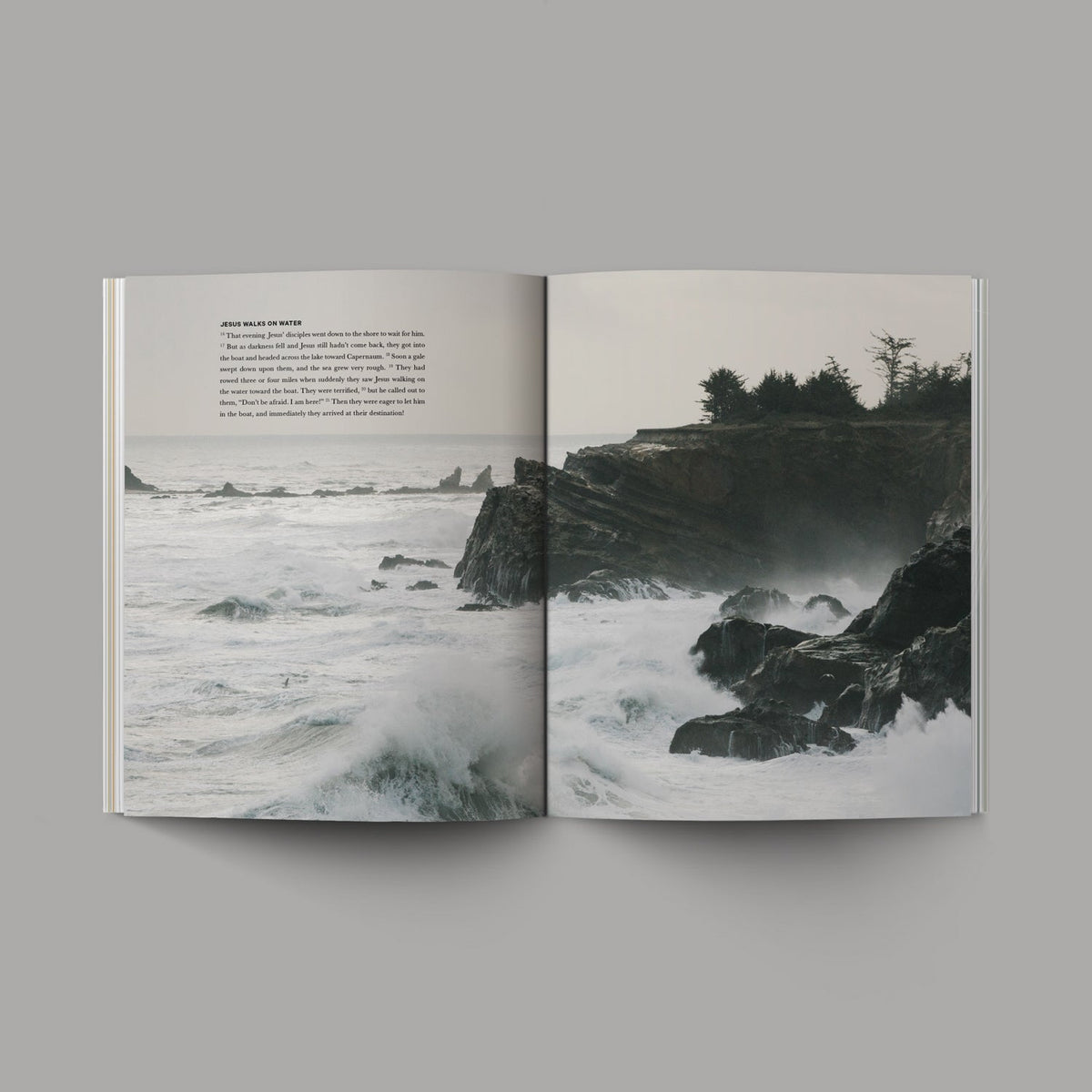 The Book of John – R.H. Boyd