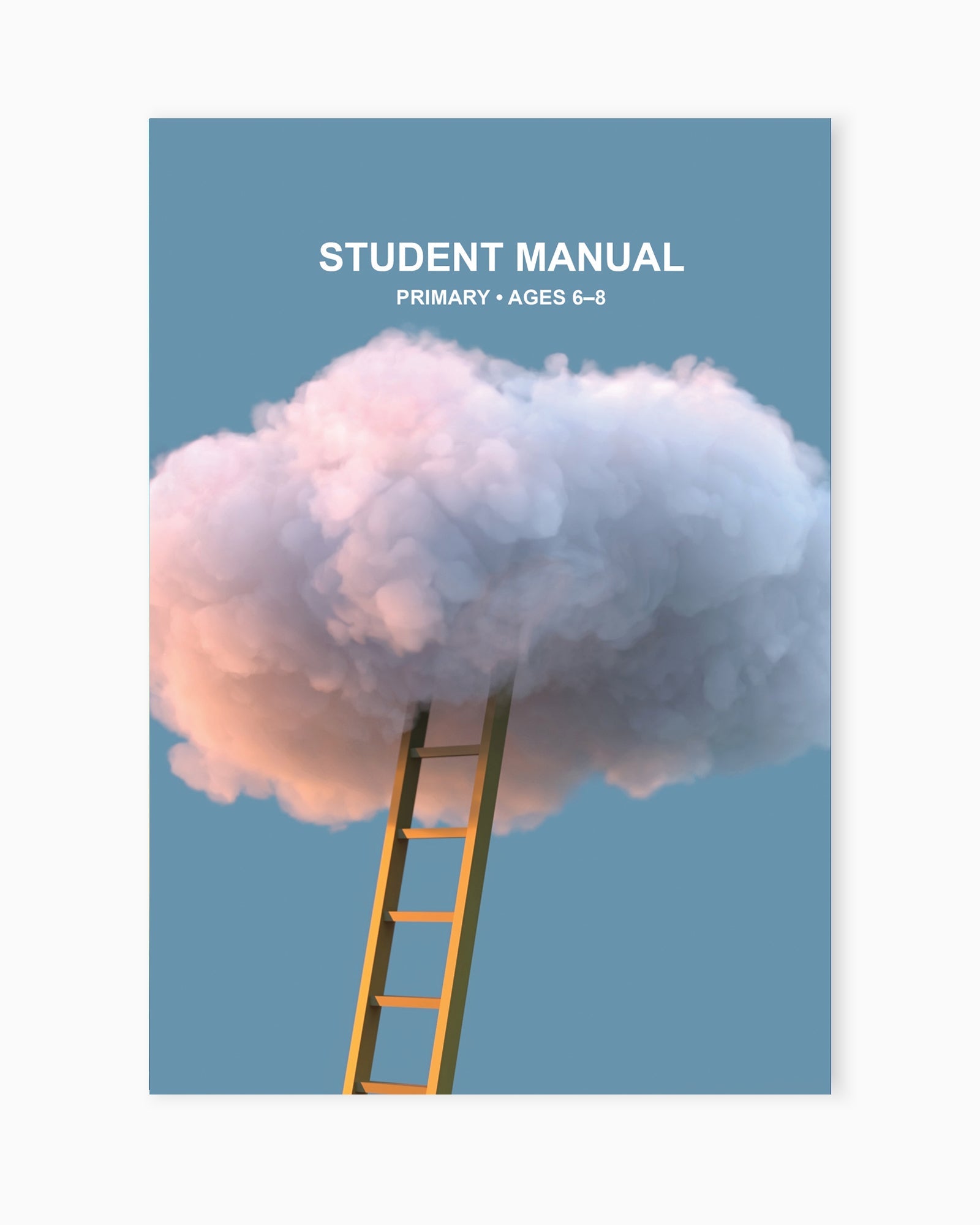 From Vision To Reality - VBS Primary Student Manual – R.H. Boyd